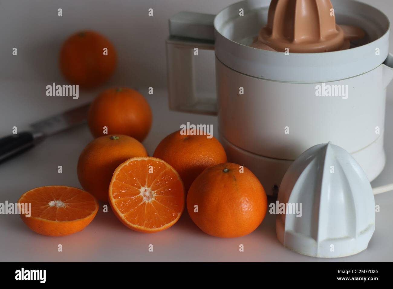 Sliced Malta or Valencia Orange. It is a citrus fruit grown in India ...