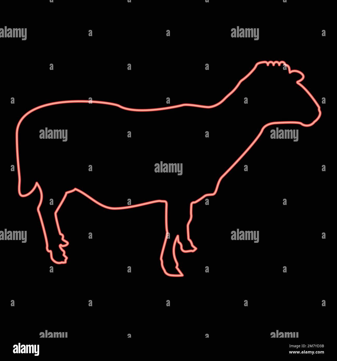 Neon sheep Ewe Domestic livestock Farm animal cloven hoofed Lamb cattle ...