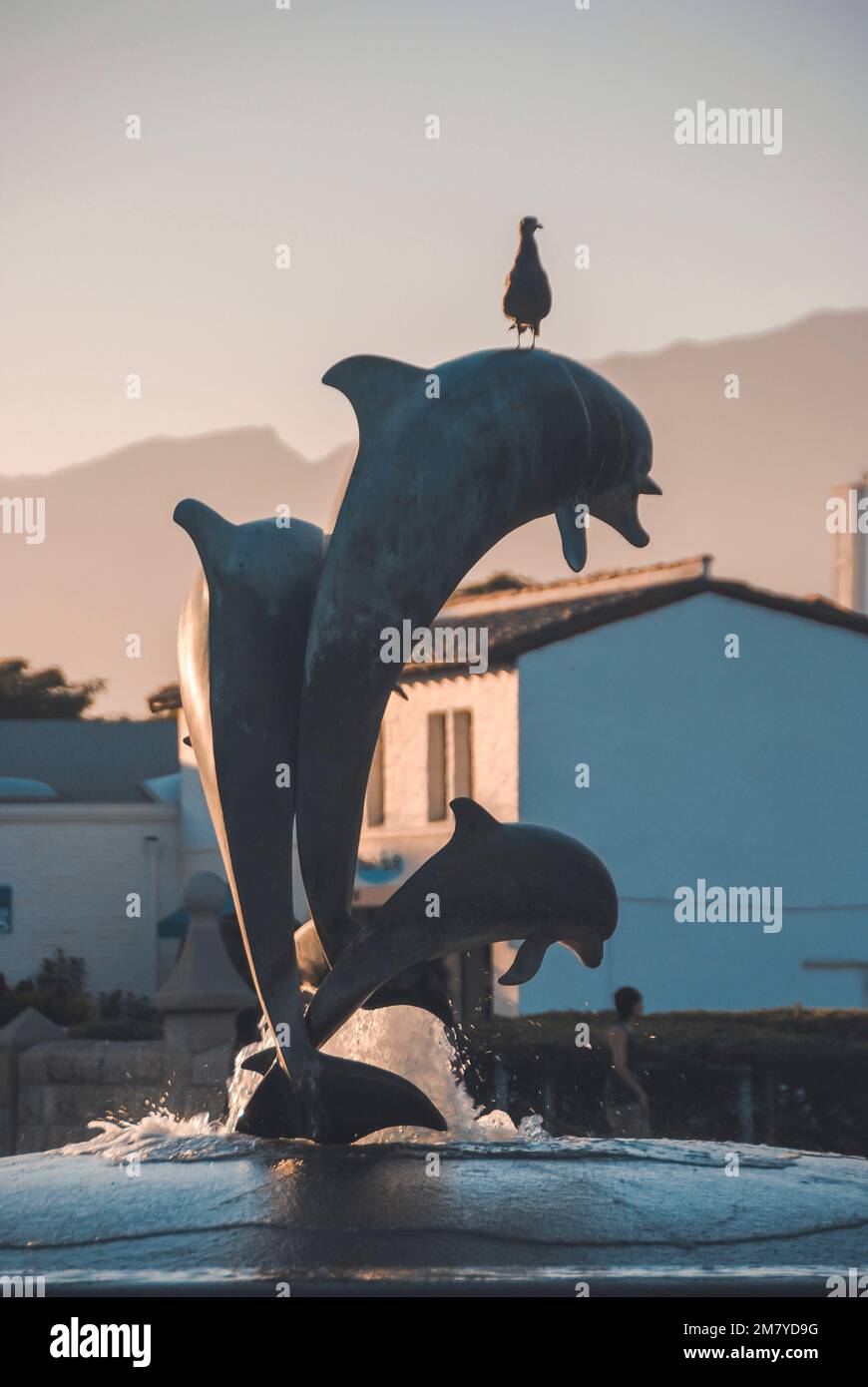 Dolphin Wallpapers Barbaras DOLPHINS PARADISE, Art, Paradise,