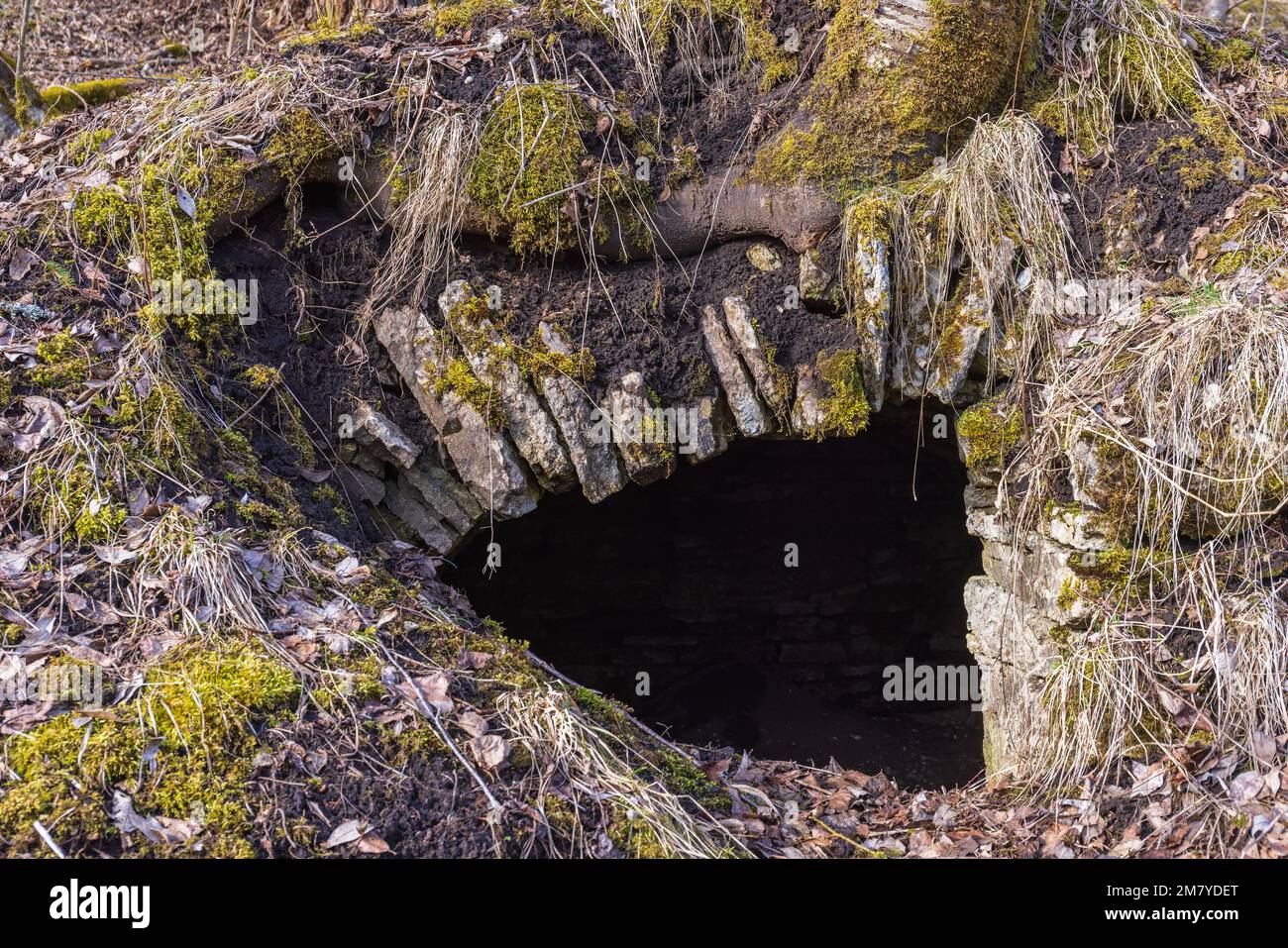 Decayed old root cellar in the ground Stock Photo - Alamy