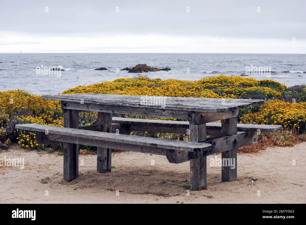 Wooden lonely bench near hi-res stock photography and images - Alamy