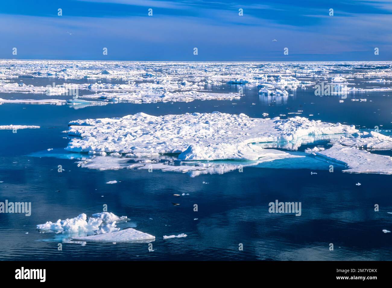 Drift ice at the Arctic ocean Stock Photo - Alamy