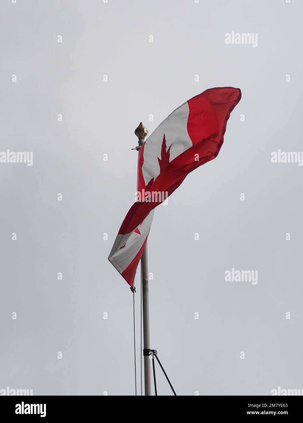 the Canadian national flag of Canada, America Stock Photo - Alamy
