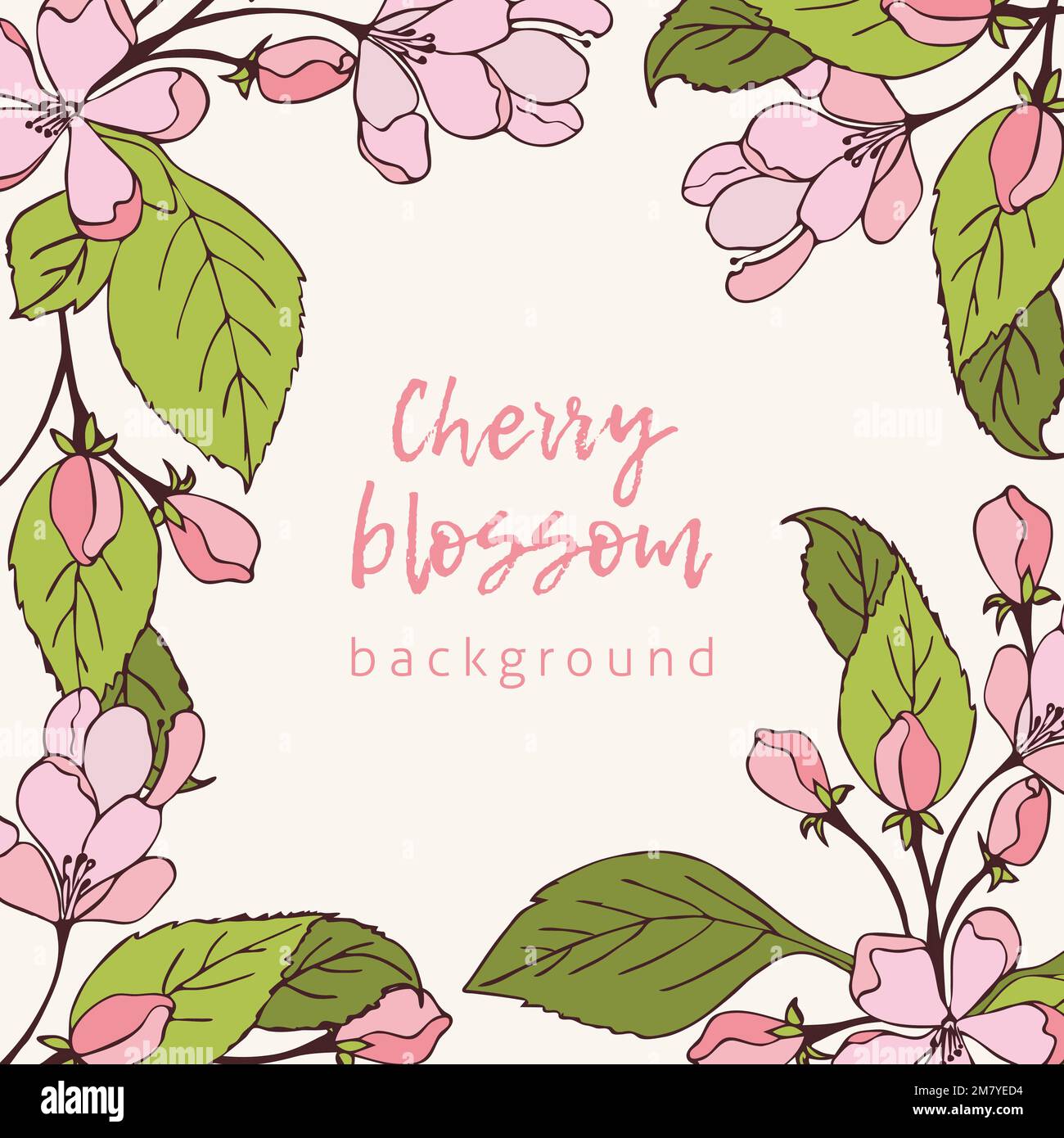 Cherry blossoms pastel background, hand drawn spring flowers. Vector ...
