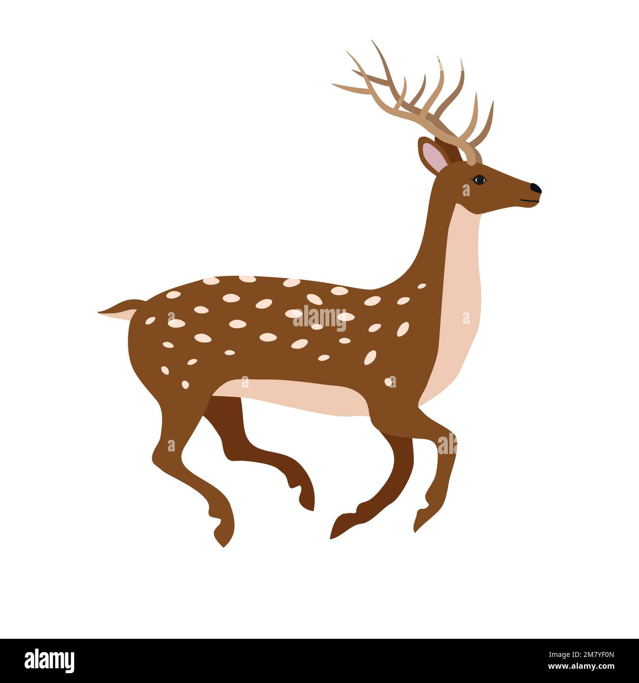 Spotted Deer Clipart