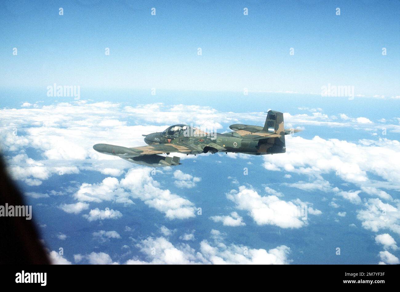 A 37 dragonfly hi-res stock photography and images - Alamy