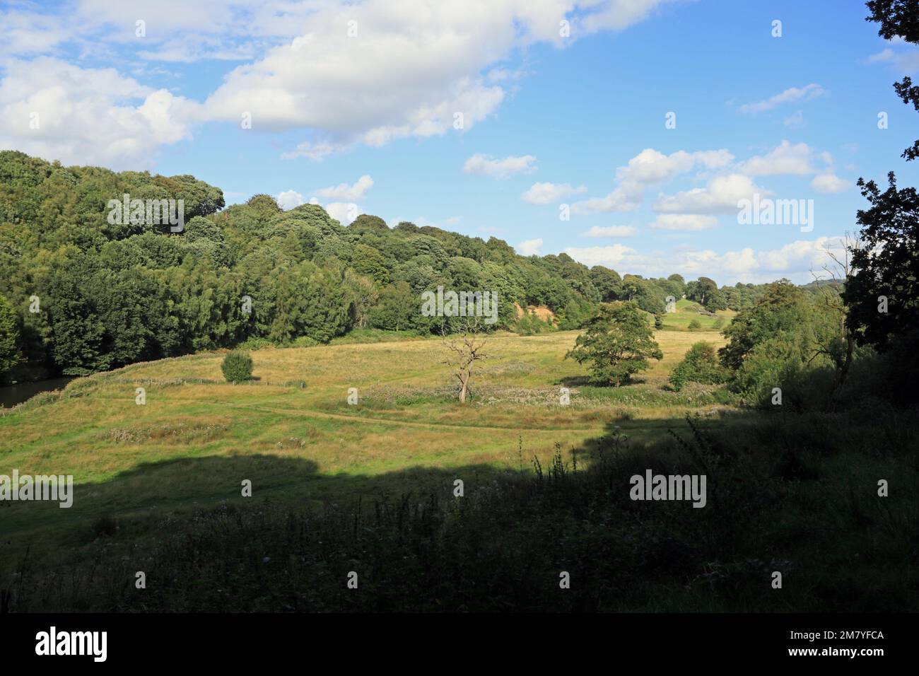 he River Darwen near Hoghton Lancashire England Stock Photo - Alamy