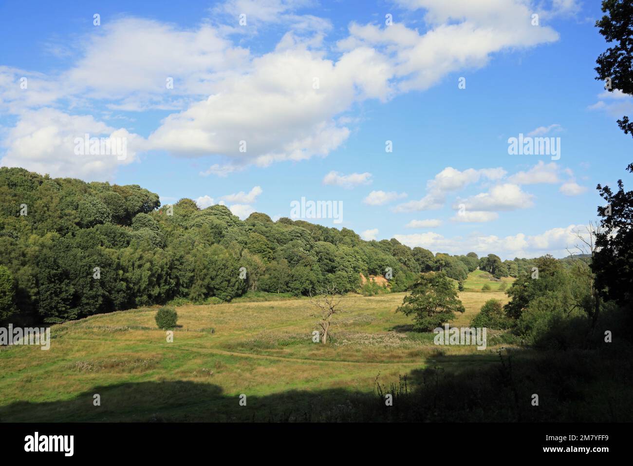 he River Darwen near Hoghton Lancashire England Stock Photo - Alamy