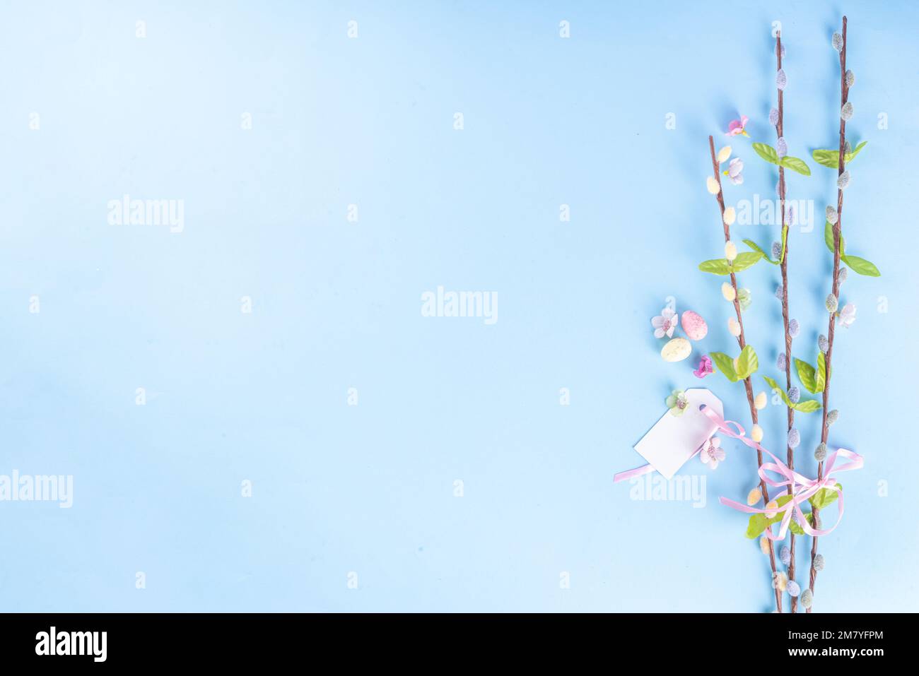 Spring Easter holiday top view background with eggs and willow flowers ...