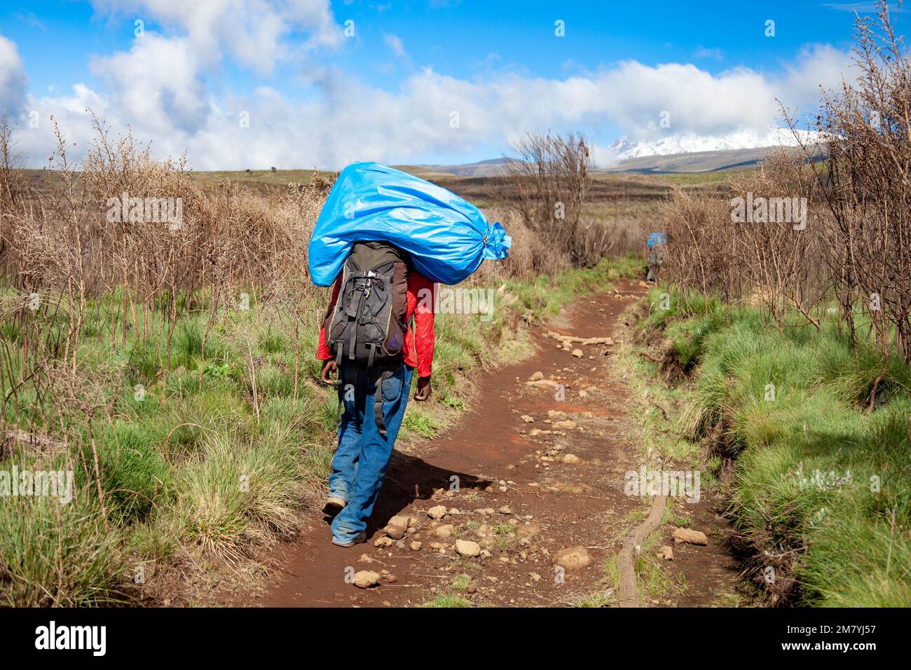 A porter carrying heavy load on his back walks along the road Stock ...