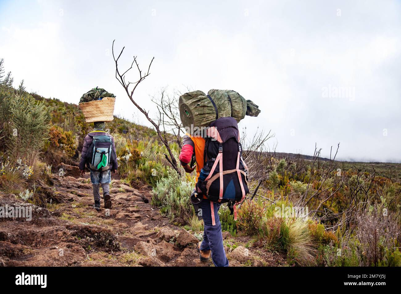 Porters carrying heavy load on his back walks along the road Stock ...