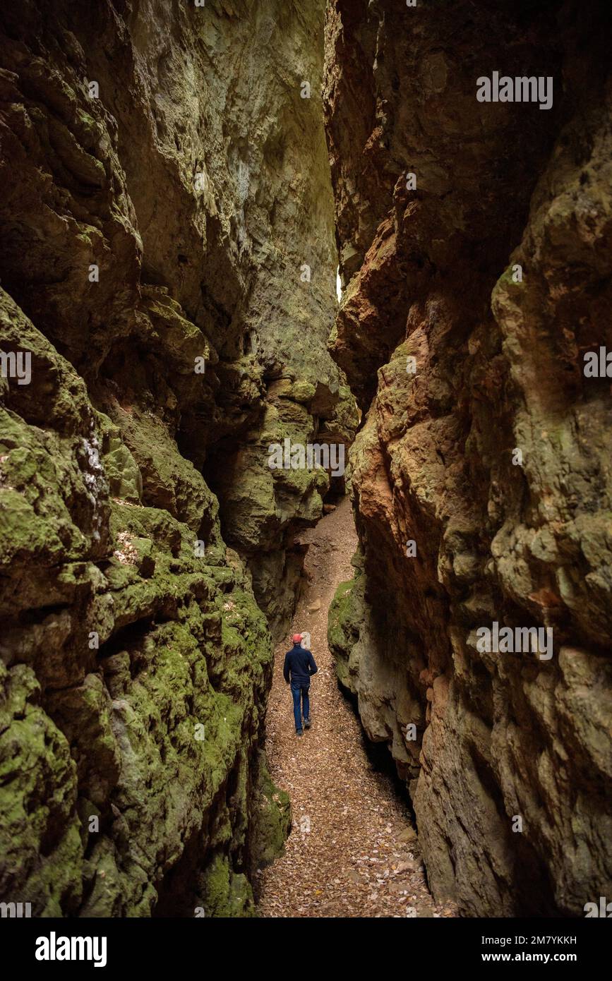 Hiker inside the Avencs de la Febró, a fissure about 30 meters deep in ...
