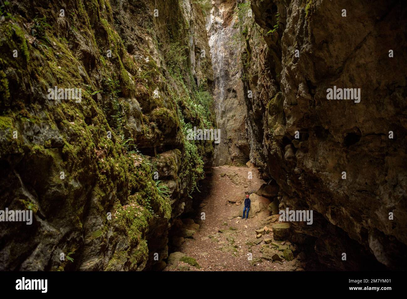 Hiker inside the Avencs de la Febró, a fissure about 30 meters deep in ...