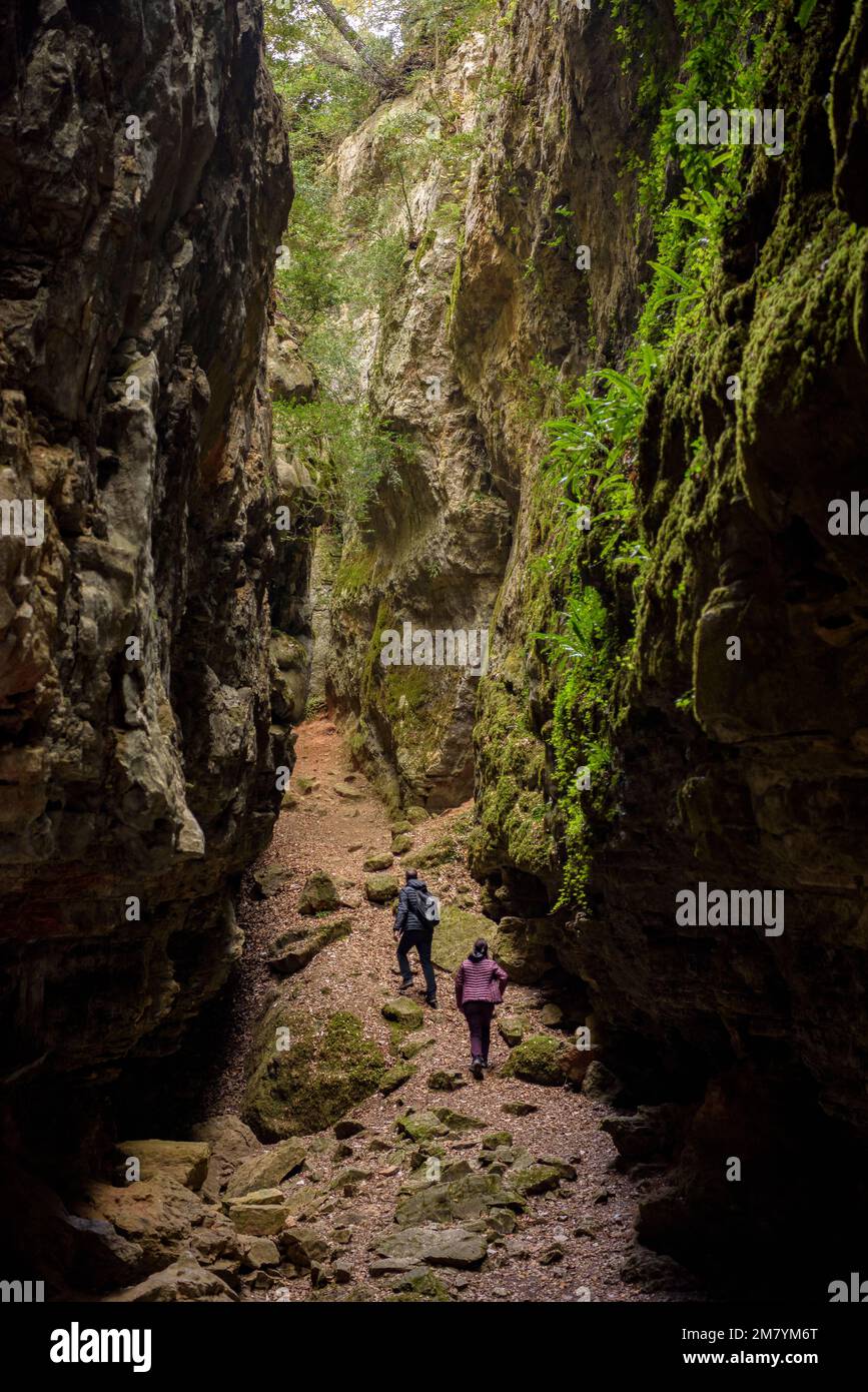 Hikers inside the Avencs de la Febró, a fissure about 30 meters deep in ...