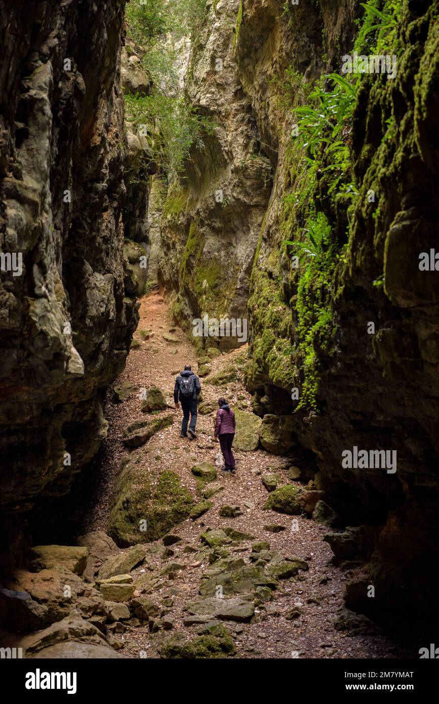 Hikers inside the Avencs de la Febró, a fissure about 30 meters deep in ...