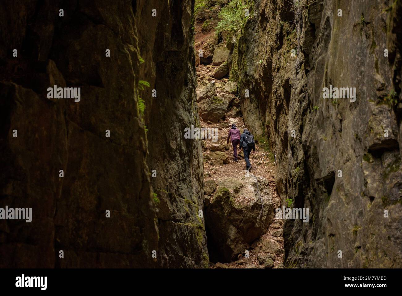 Hikers inside the Avencs de la Febró, a fissure about 30 meters deep in ...