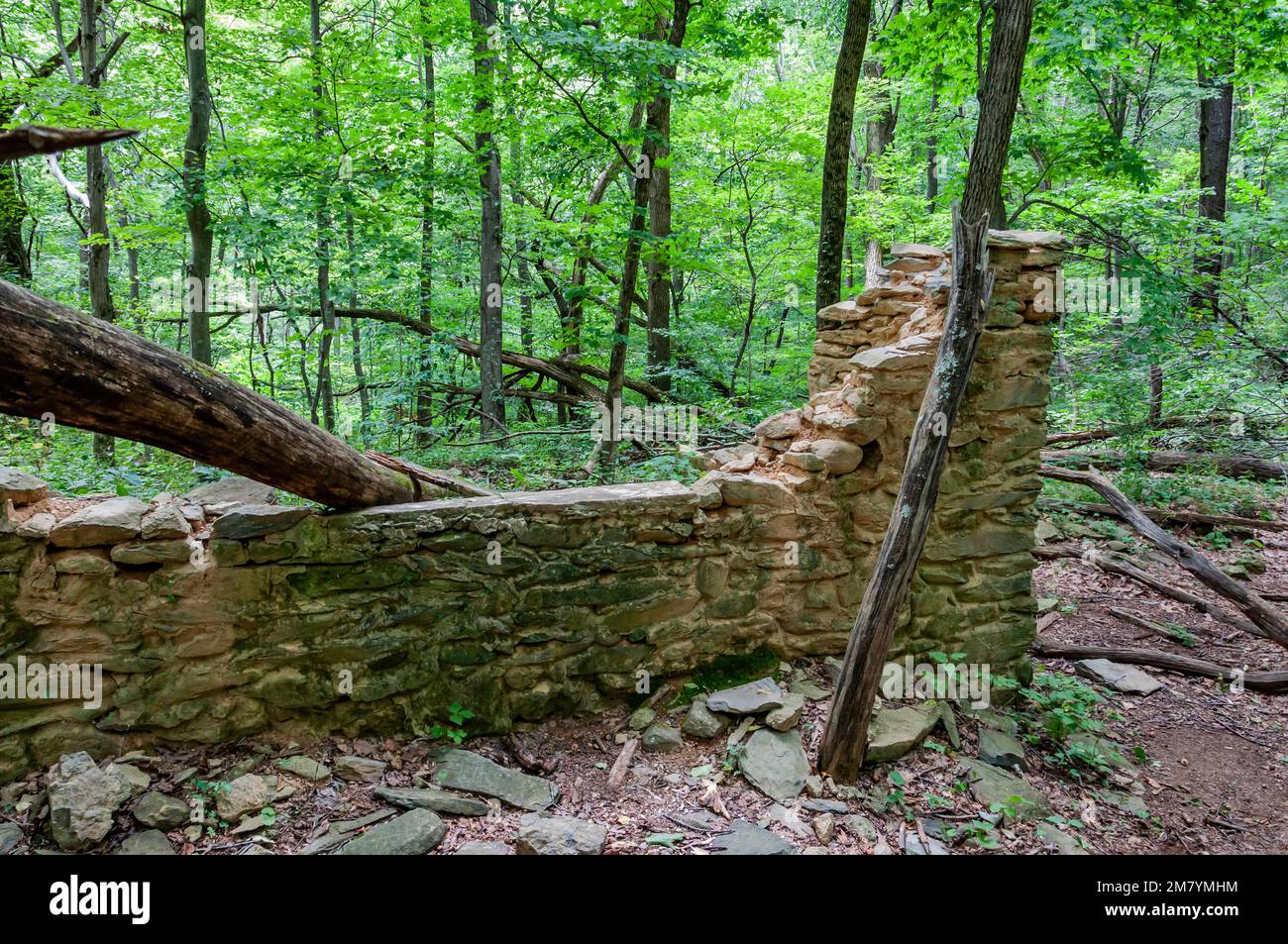 Pocosin mission hi-res stock photography and images - Alamy