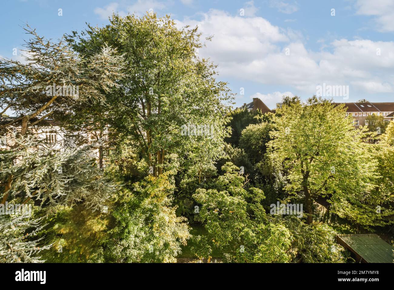 some trees and buildings in the distance, with blue sky above them to ...