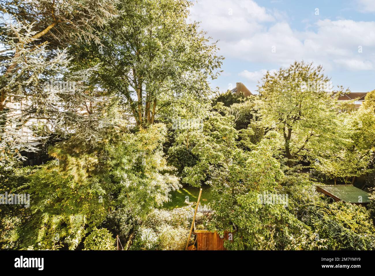 some trees and bushes in front of a house with blue skies overhead ...