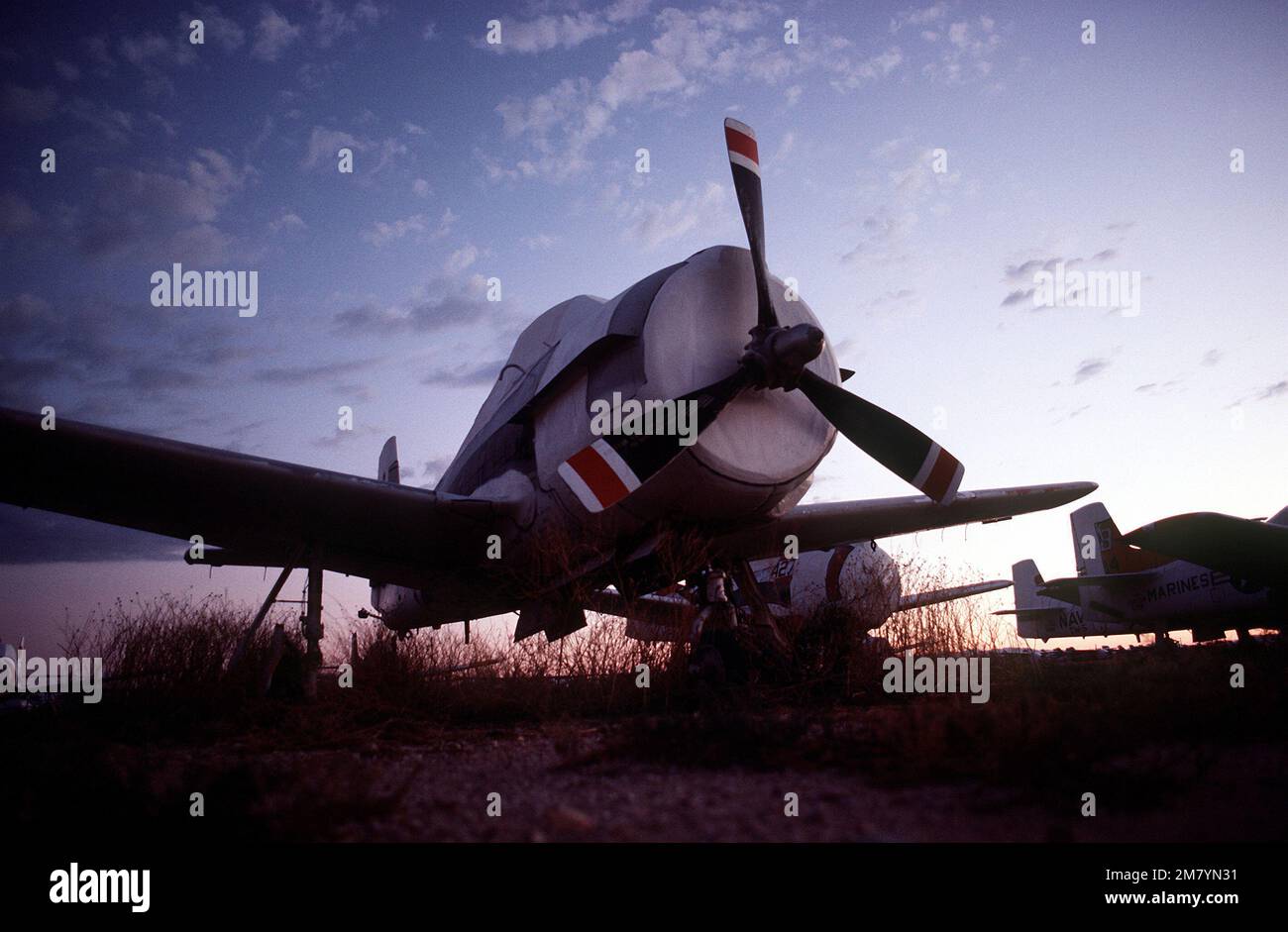 A view of a T-28 Trojan aircraft in storage at the Military Aircraft ...
