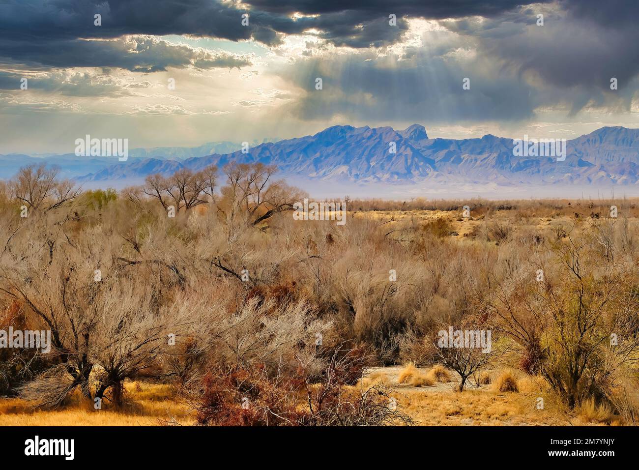 Ash Meadows National Wildlife Refuge, in Amargosa Valley, Mojave Desert ...