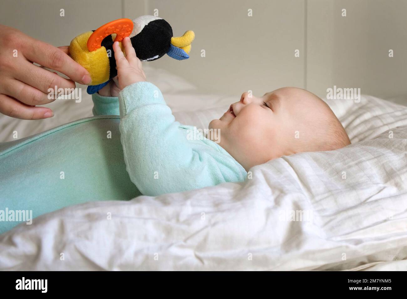 Cute Newborn Baby Lying on the Back and Plays with Colorful Toys ...