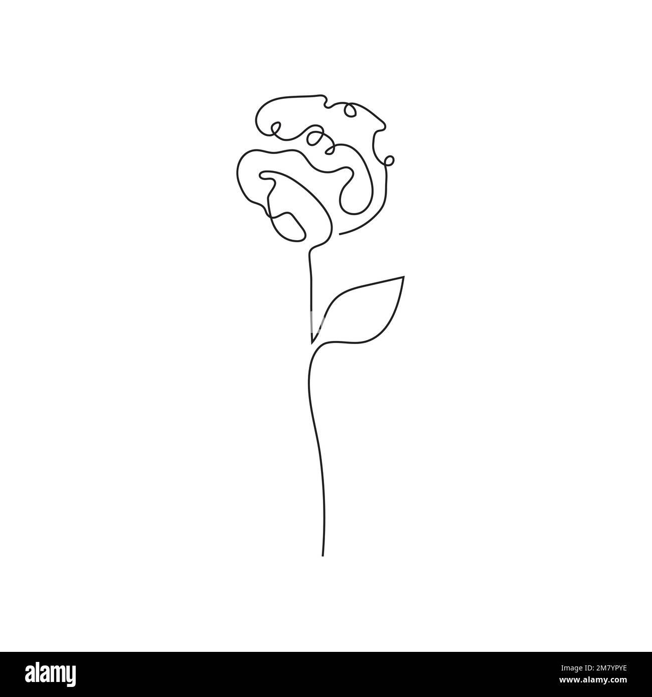 The rose is drawn in one continuous line. Vector illustration Stock ...