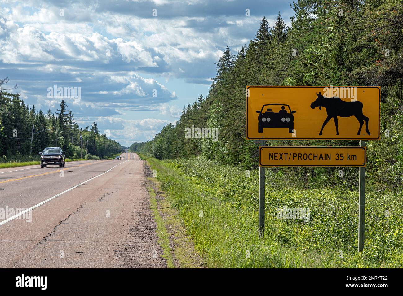 Moose crossing road sign canada hi-res stock photography and images - Alamy