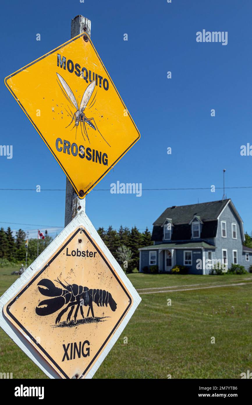 FUNNY SIGNS WARNING OF LOBSTER AND MOSQUITO CROSSINGS, MISCOU ISLAND ...