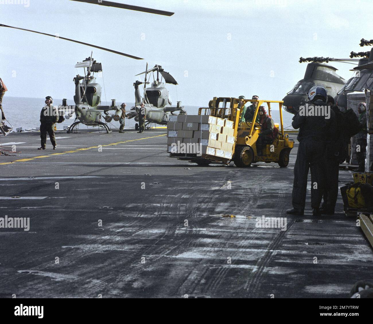 AH-1T Sea Cobra helicopters and CH-46 Sea Knight helicopters line the ...