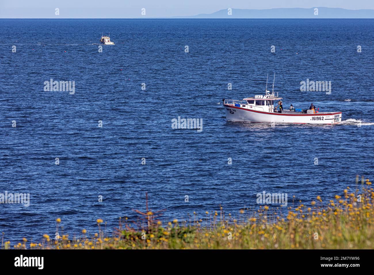 LOBSTER FISHER IN THE BAY OF THE GULF OF SAINT LAURENT, POKESHAW, NEW ...