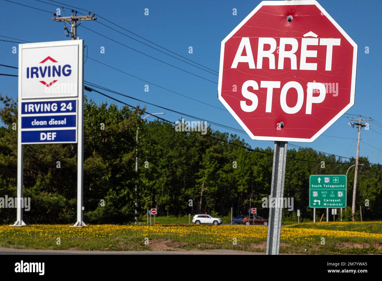 Arret Logo Showcasing Dutch Tech: Catching International Investors'