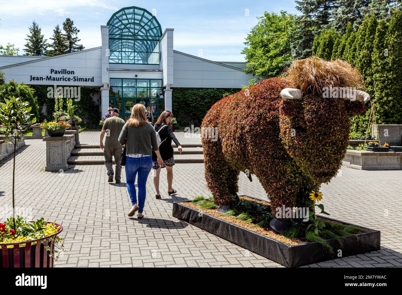 VEGETAL SCULPTURE OF A BULL AT THE ENTRANCE, BOTANICAL GARDEN ...