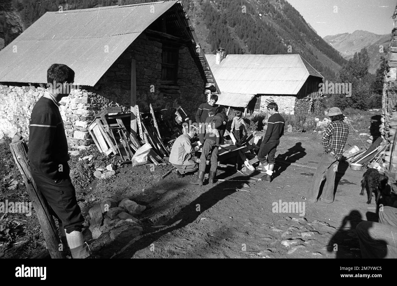1970s hippies and police hi-res stock photography and images - Alamy