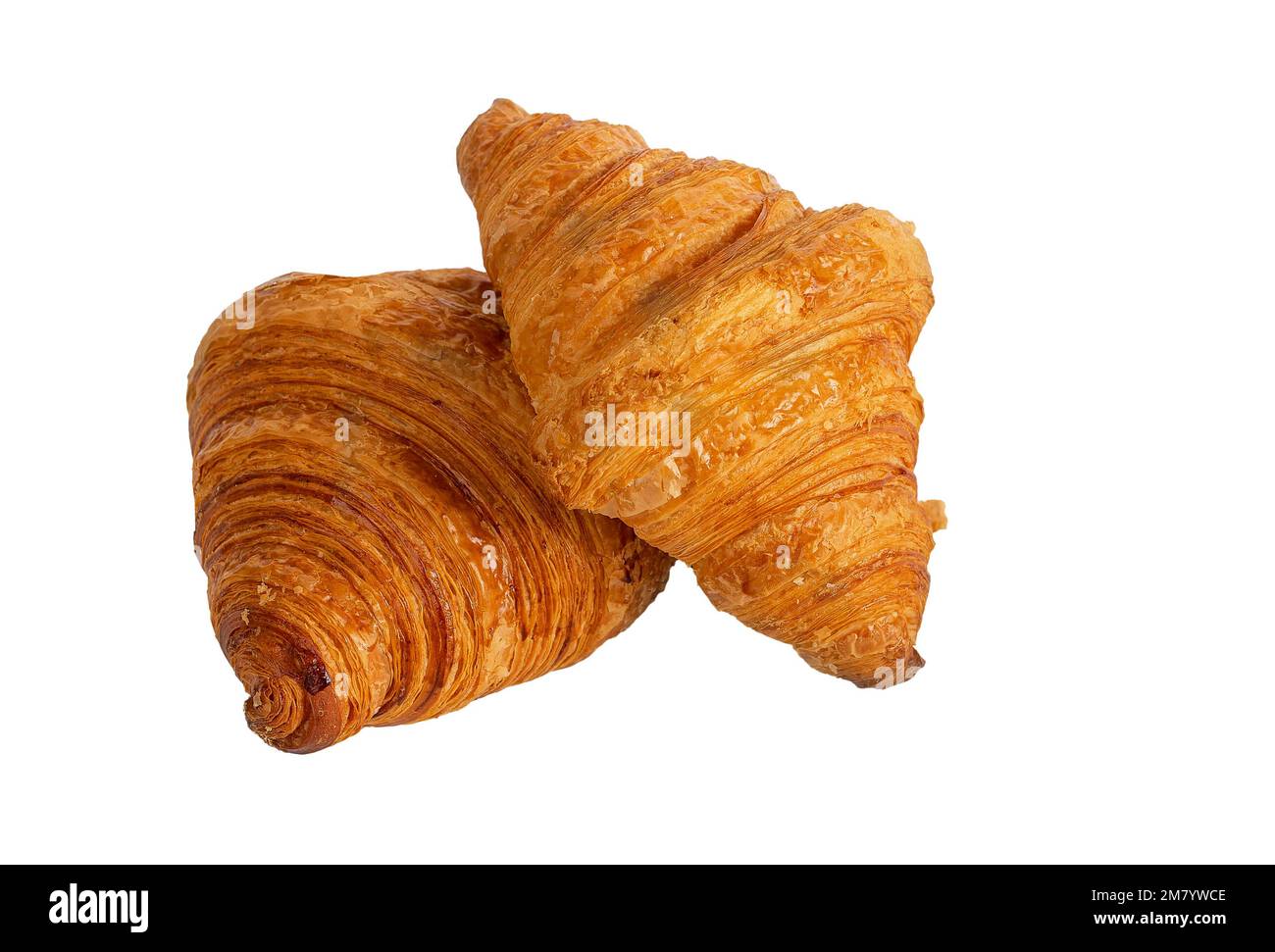Two fresh twisted croissants isolated on white background, French ...