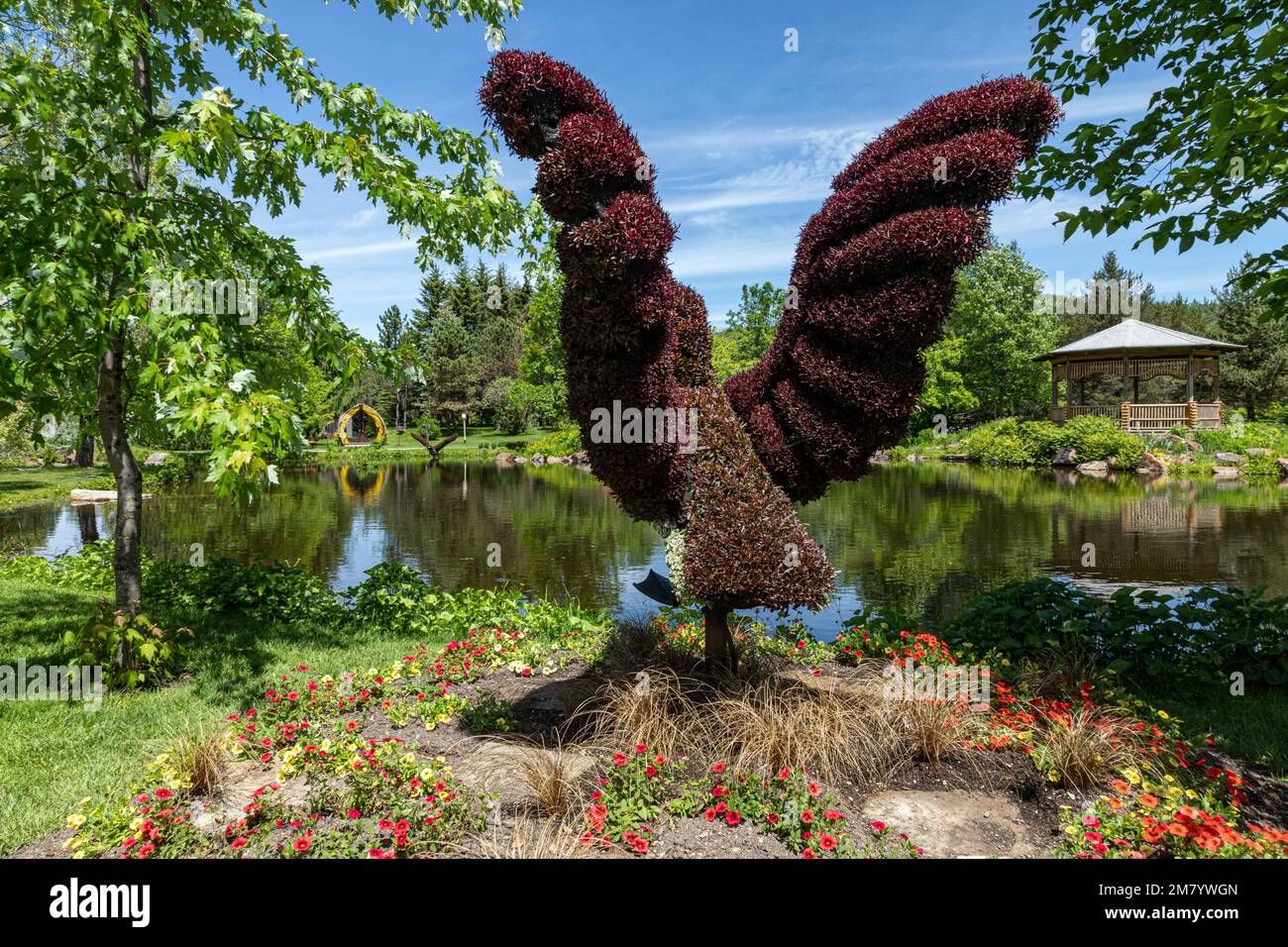 VEGETAL SCULPTURE OF A CANADIAN GOOSE IN FLIGHT, MOSAICULTURE ...