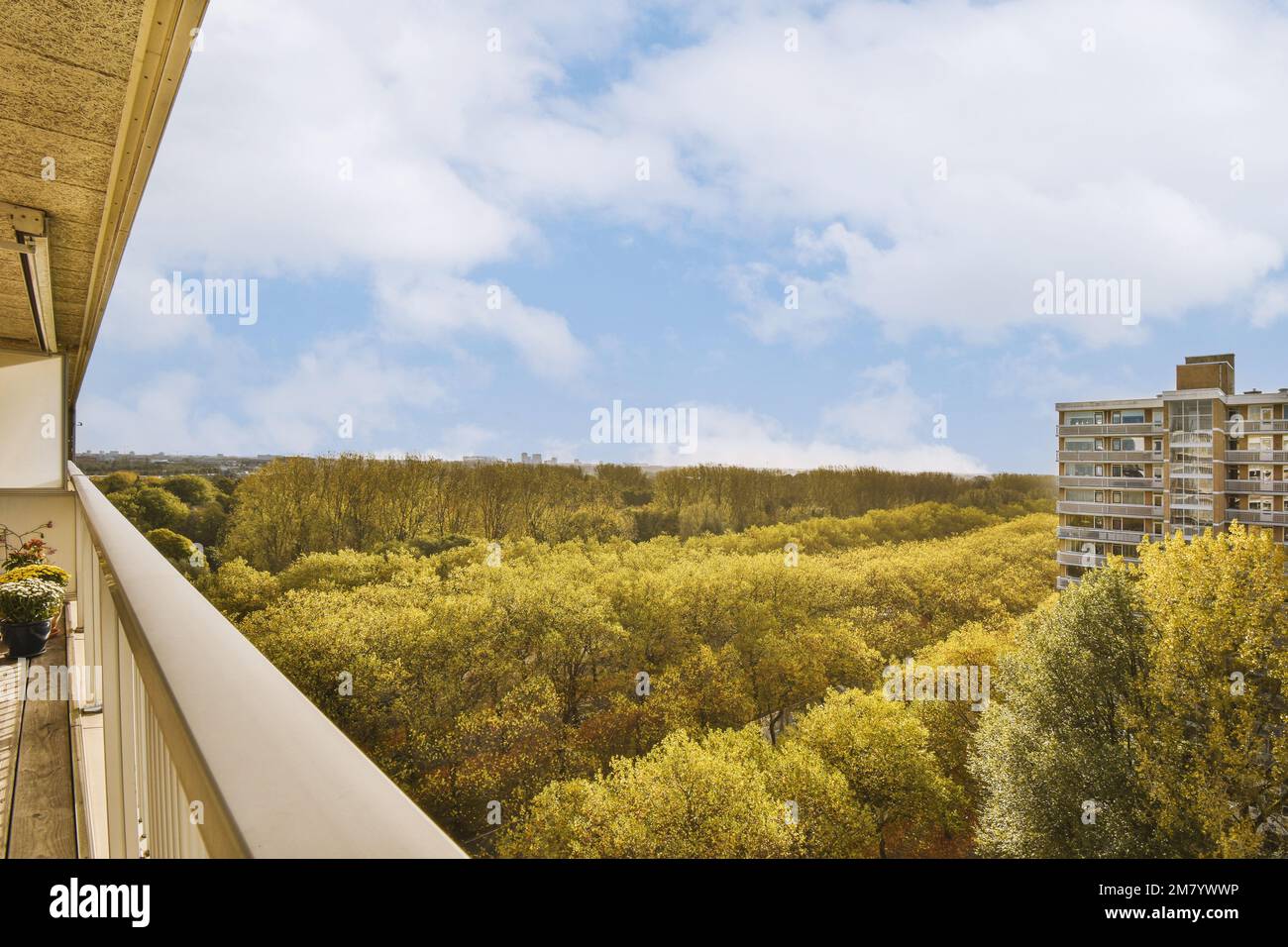 an outside area with trees and buildings on the other side of the photo ...
