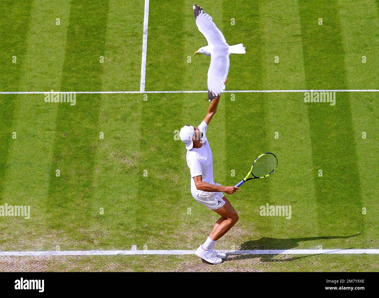 Holder maxime hi-res stock photography and images - Alamy