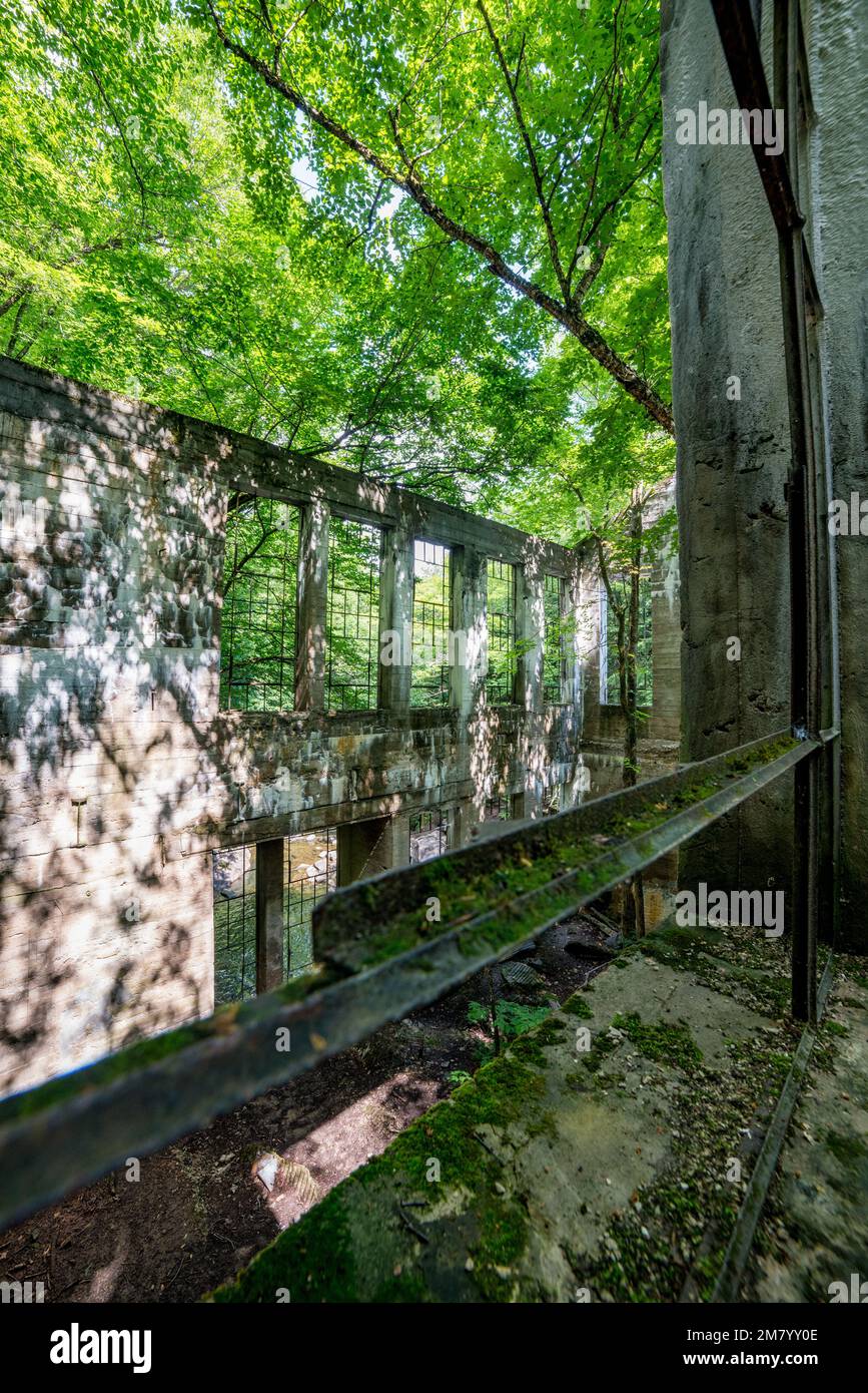 Joseph willson hi-res stock photography and images - Alamy