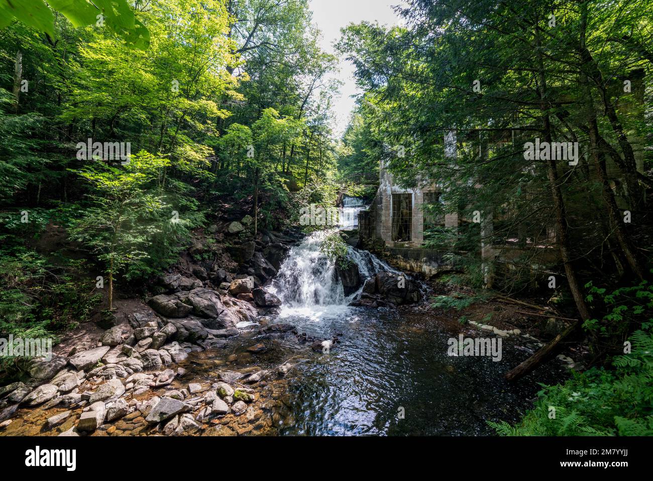 Joseph willson hi-res stock photography and images - Alamy