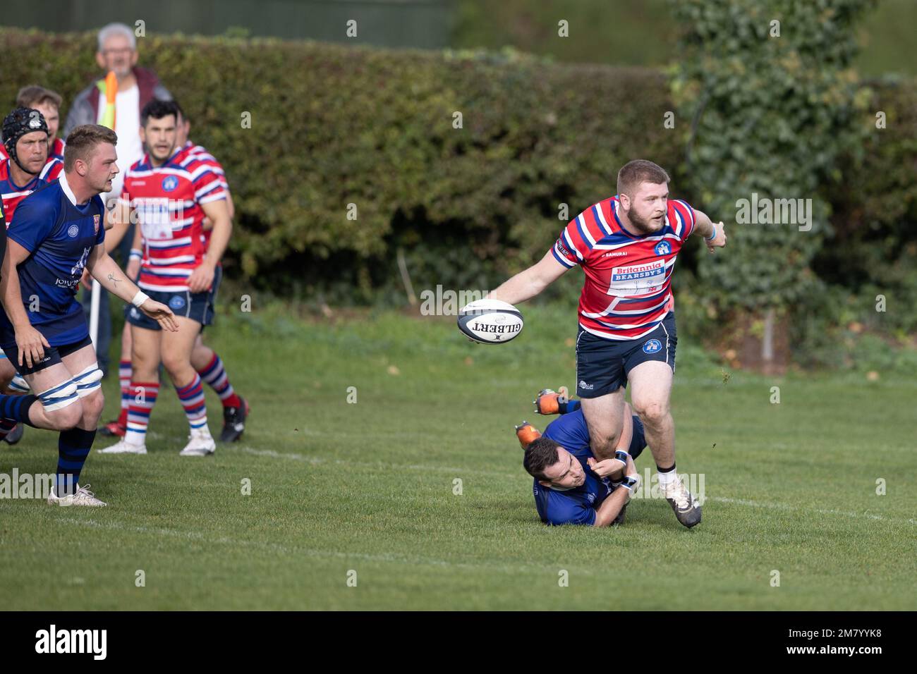 Rugby team game action rugby player Stock Photo - Alamy