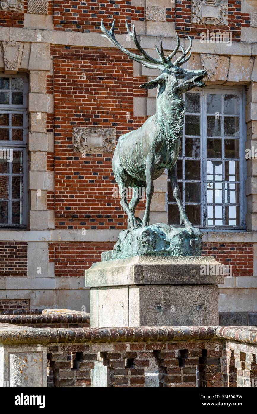 THE STAG SHOT BY A GERMAN BULLET IN THE SECOND WORLD WAR, THE ...