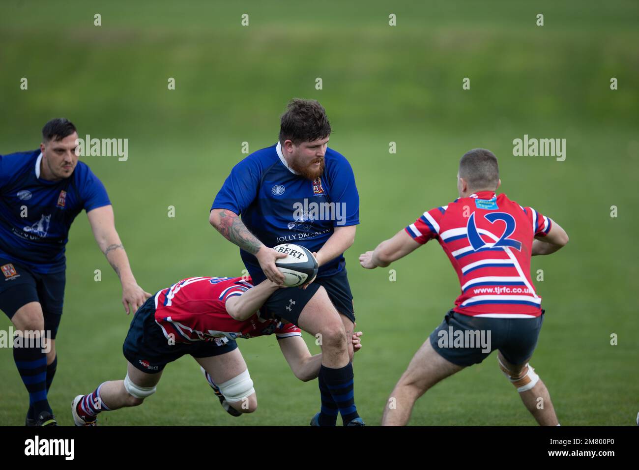 Rugby team game action rugby player Stock Photo - Alamy