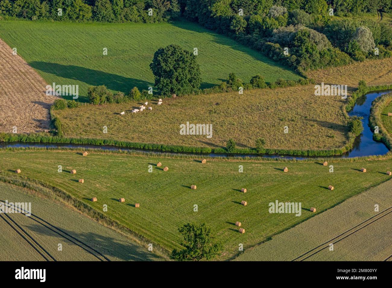 CROPS AND PRAIRIES FOR CATTLE REARING THE RISLE VALLEY, LA VIEILLE-LYRE ...