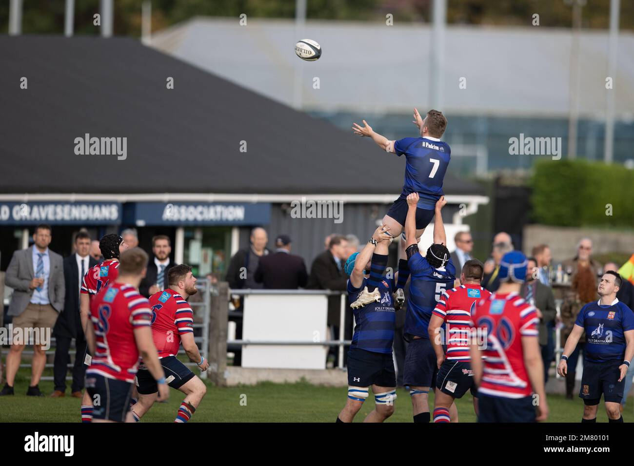 Rugby team game action rugby player Stock Photo - Alamy