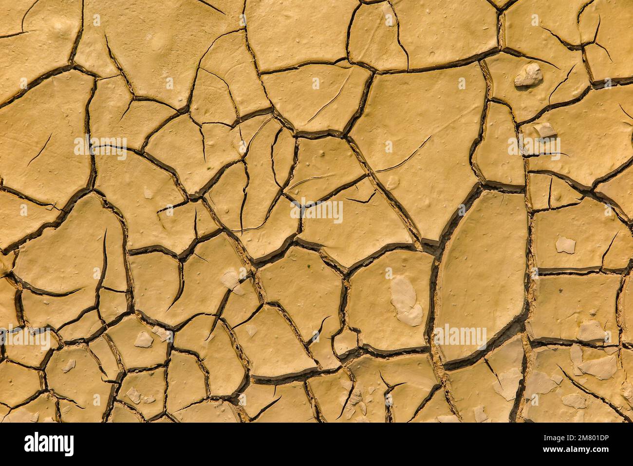DROUGHT ILLUSTRATION, CRACKED EARTH WHEN THE WATER DRIES UP FROM LACK ...