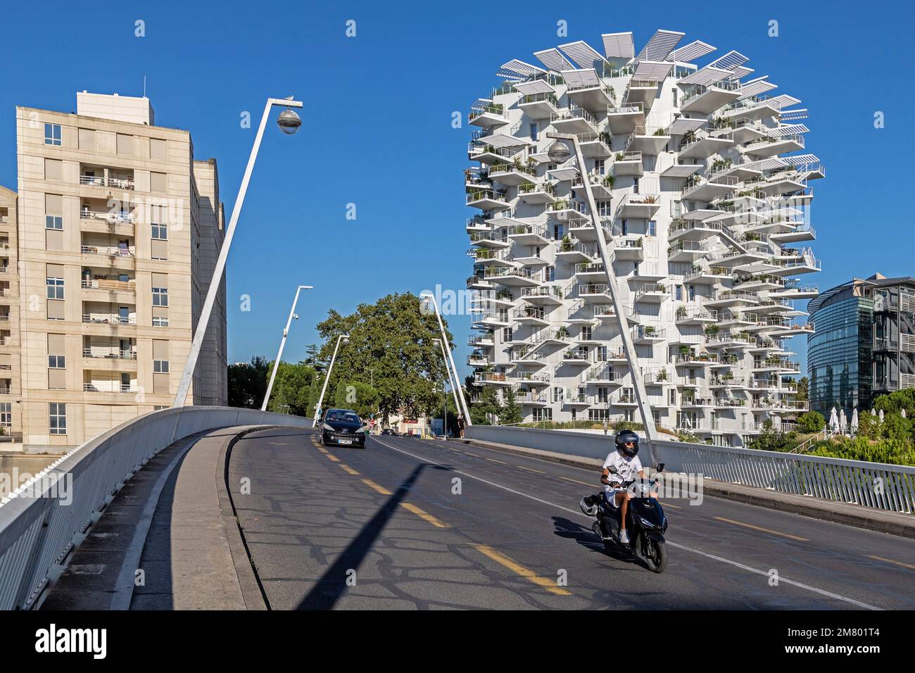 MODERN BUILDING THE ARBRE BLANC, ARCHITECTS SOO FOUJIMOTO, NICOLAS ...