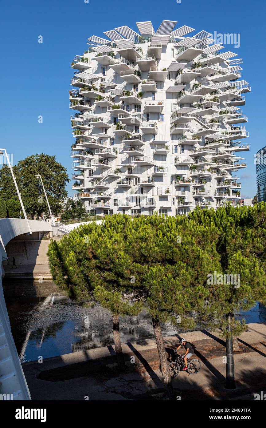 MODERN BUILDING THE ARBRE BLANC, ARCHITECTS SOO FOUJIMOTO, NICOLAS ...