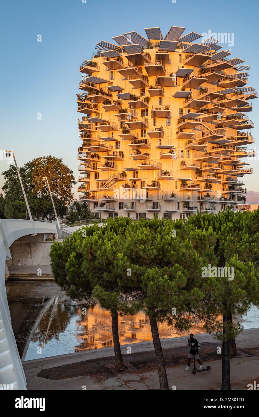 MODERN BUILDING THE ARBRE BLANC, ARCHITECTS SOO FOUJIMOTO, NICOLAS ...