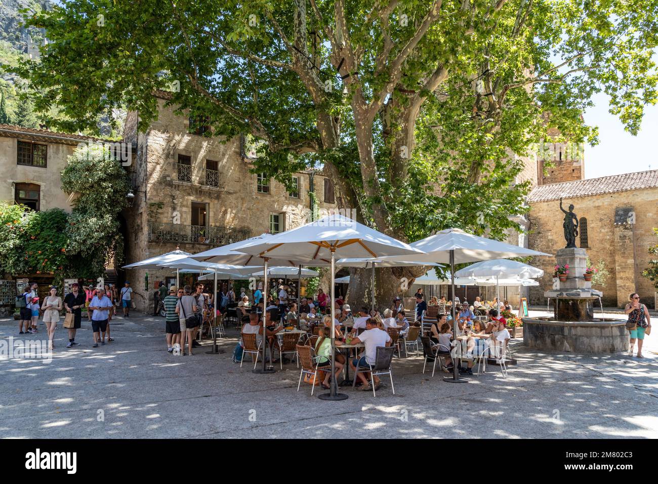 RESTAURANT TERRACES IN THE SHADE OF THE SYCAMORE LABELLED REMARKABLE ...